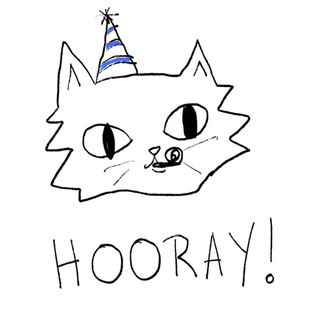 Good Job Cat GIFs - Find & Share on GIPHY