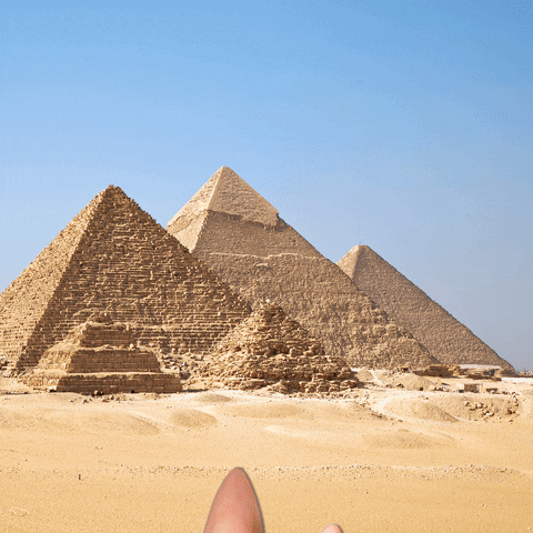 Movie 90S GIF by Anne Horel - Find & Share on GIPHY