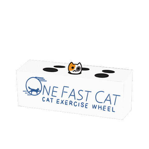 K9 Ballistics | One Fast Cat Sticker for iOS & Android | GIPHY