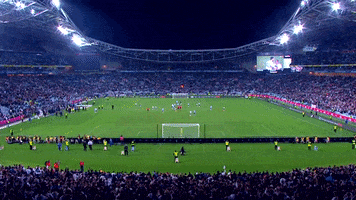 Stadium Australia GIFs on GIPHY - Be Animated