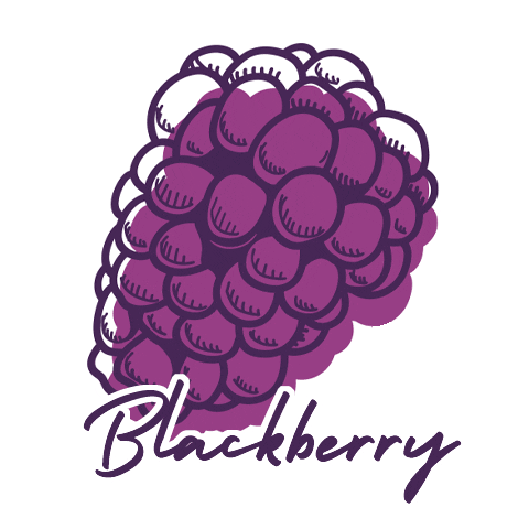 Fruit Berry Sticker by Berries Paradise for iOS & Android | GIPHY