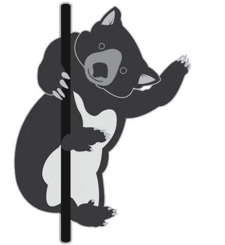 Wombat GIFs on GIPHY - Be Animated