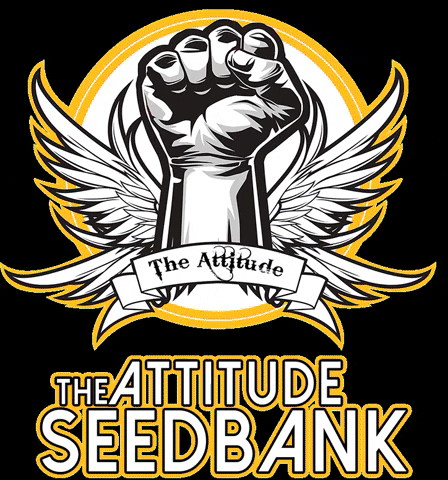 Asb GIF by AttitudeInc - Find & Share on GIPHY