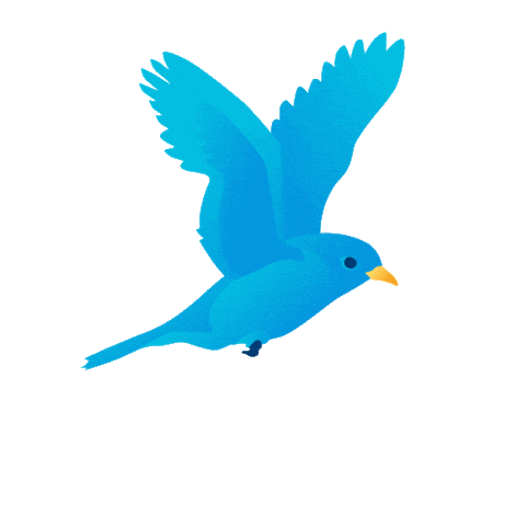 Bird Fly Sticker by Doctolib for iOS & Android | GIPHY