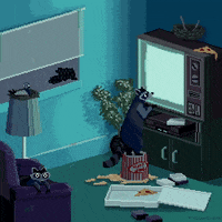 Gif De Mapache Cohete