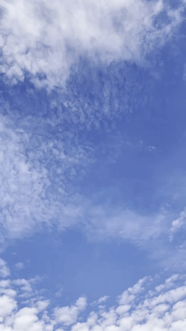 Happy Sunny Day GIF by MonA Hayslett - Find & Share on GIPHY