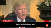 Donald-trump-wall GIFs - Get the best GIF on GIPHY