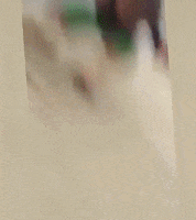 Fish Slap GIFs - Find & Share on GIPHY