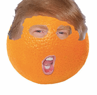 Trump Sun GIFs - Get the best GIF on GIPHY