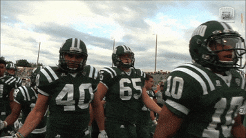 Ohio Football GIFs on GIPHY - Be Animated