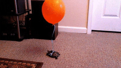 Balloon GIFs - Find & Share on GIPHY