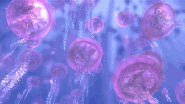 Disney Pixar Ocean GIF by Disney - Find & Share on GIPHY