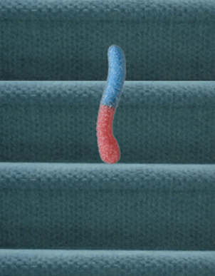 Gummi Worms GIFs - Get the best GIF on GIPHY