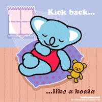 Gif De Koala Dormido