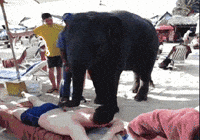 Eilifint Leanbh Gif Enlighten GIFs | Tenor