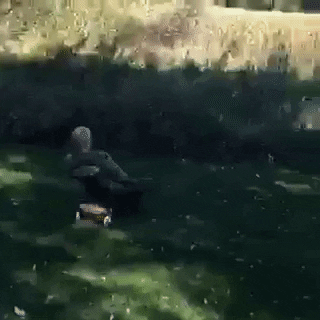 Full Grown Man On Tricycle GIFs - Get the best GIF on GIPHY