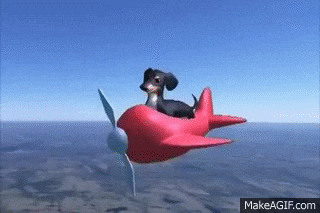 Funny Plane GIFs - Get the best GIF on GIPHY