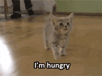 So Hungry Gif