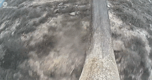 Technology Poaching GIF by NowThis - Find & Share on GIPHY