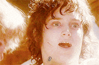 Lord Of The Rings Happy Gif