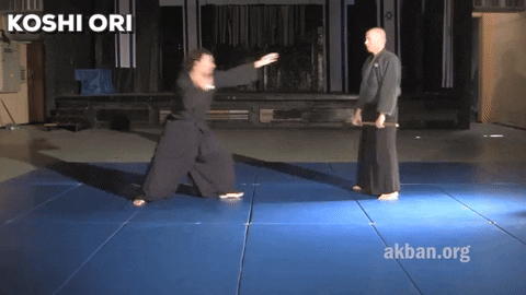 Taijutsu GIFs - Get the best GIF on GIPHY