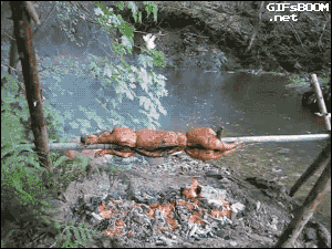 Roast-pig GIFs - Get the best GIF on GIPHY