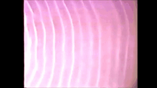 Walter-munk GIFs - Get the best GIF on GIPHY