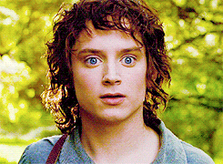 Elijah Wood Gif