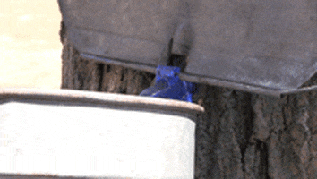 Sap Crm GIFs - Get the best GIF on GIPHY