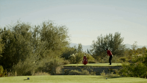 GIF by Wilson Golf - Find & Share on GIPHY