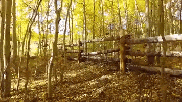 Colorado Plateau GIFs - Find & Share on GIPHY