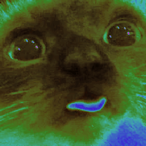 Blep GIFs - Get the best GIF on GIPHY