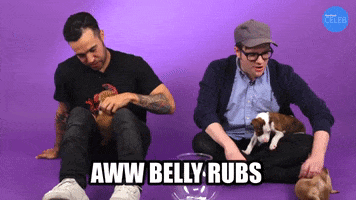 Burping, Belly Button, & Belly Rubs - Video Clips - General - Curvage