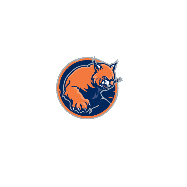 Orange Wildcats Sticker by Baker University for iOS & Android | GIPHY