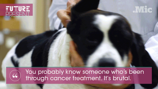 Cancer Treatment GIFs - Get the best GIF on GIPHY