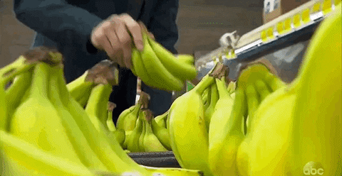 Grocer GIFs - Get the best GIF on GIPHY