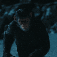 Planet Of The Apes Gif