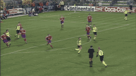 Knut GIFs - Get the best GIF on GIPHY