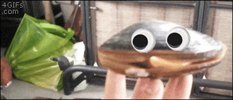 The Drunken Clam GIFs - Get the best GIF on GIPHY