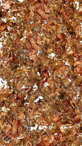 Gold Leaf GIFs - Get the best GIF on GIPHY