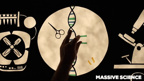 Dna Genetics GIFs - Find & Share on GIPHY