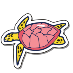 Cebu City Summer Sticker by Sun for iOS & Android | GIPHY