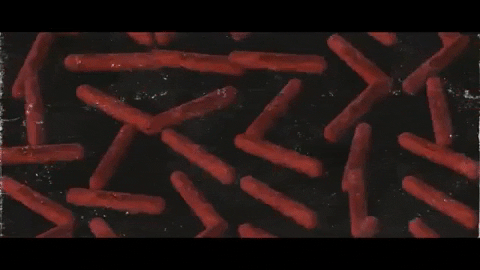 Beef Stick GIFs - Get the best GIF on GIPHY