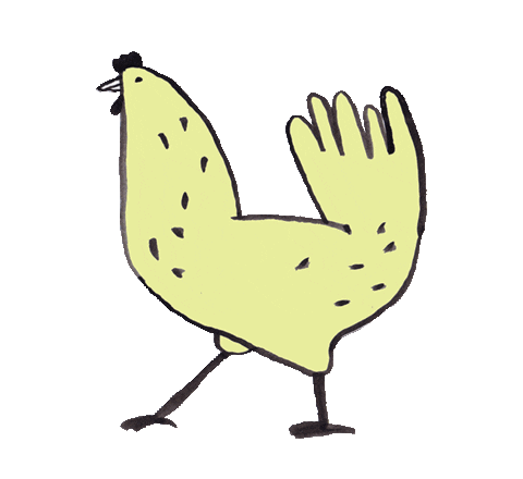 Bird Chicken Sticker by Bela Unclecat for iOS & Android | GIPHY