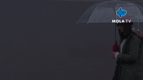 Payung GIFs - Get the best GIF on GIPHY