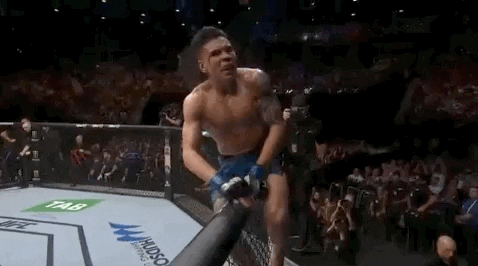 Ufc Fight Night Sport GIF by UFC - Find & Share on GIPHY