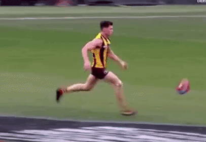 Aaron Francis Afl GIF by Essendon FC - Find & Share on GIPHY