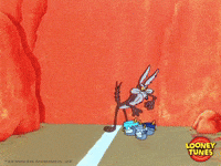 Road Runner Gif