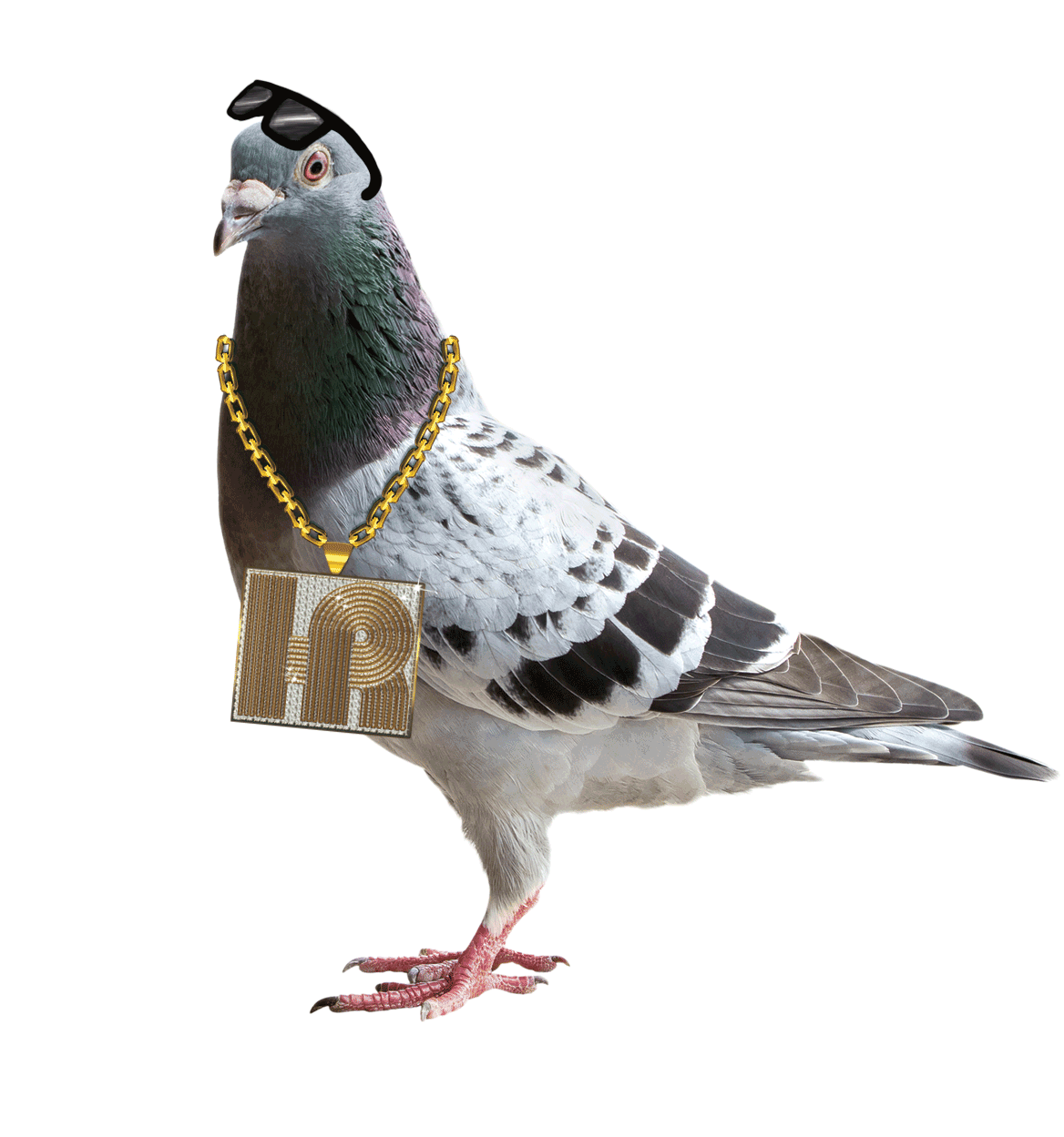 Swag Bird Sticker by The Knocks for iOS & Android | GIPHY