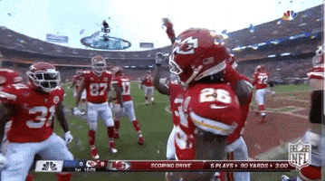 NFL Playoffs GIF Bonanza! by Sports GIFs | GIPHY